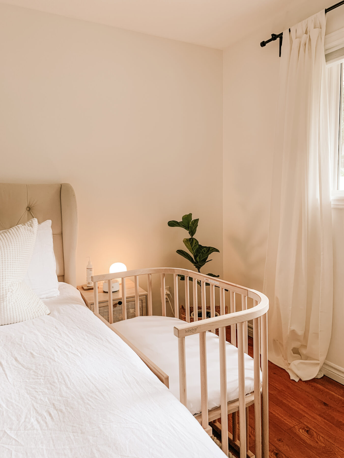 babybay Maxi - Bedside Sleeper Bassinet